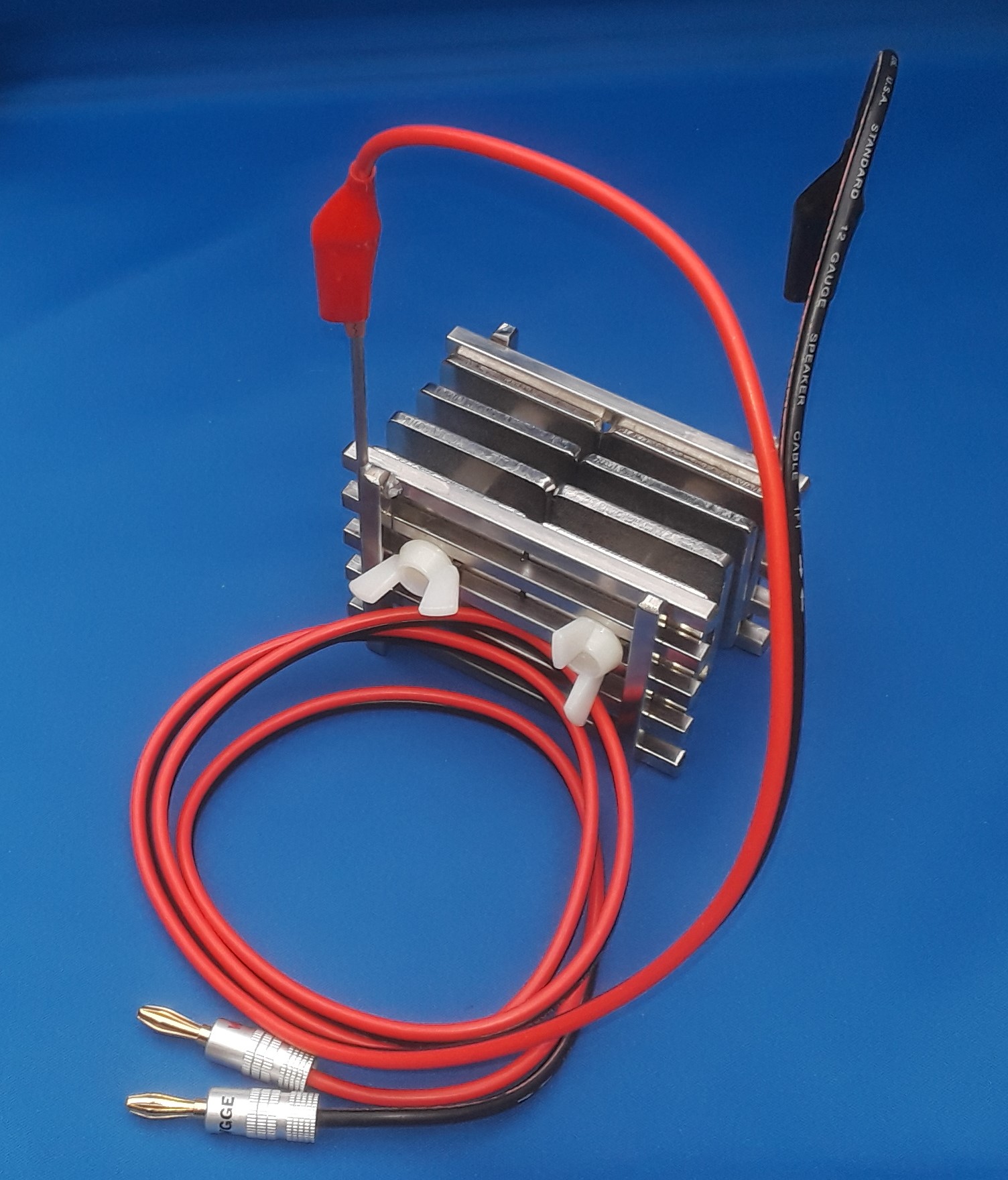 Detox Arrays with Wires – College of Holistic Health